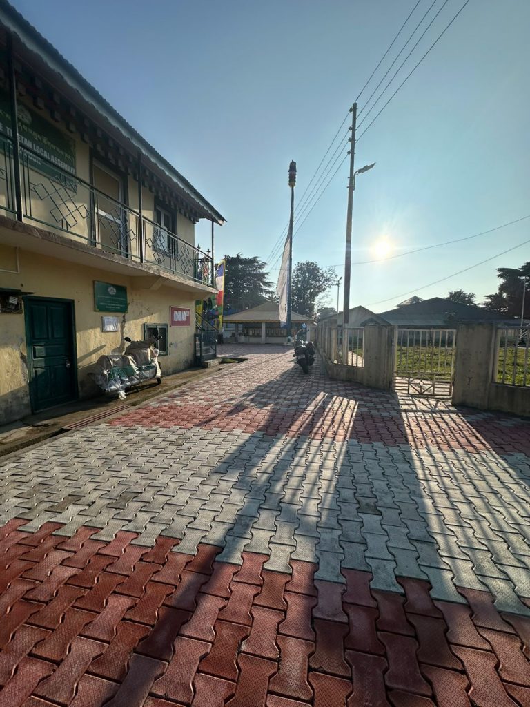 Dalhousie interlocking path project completion report – home